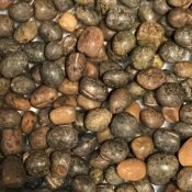 Vetch, Common - North 40 Ag